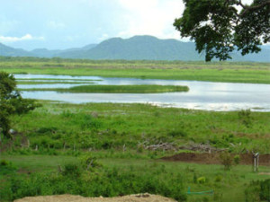 Tempisque – Guías Costa Rica – Expreso